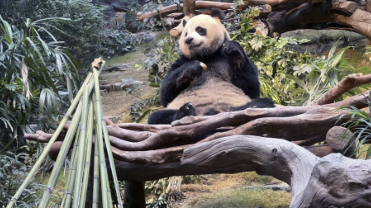 The Green Paradox: How Climate Change is depleting your food of ...